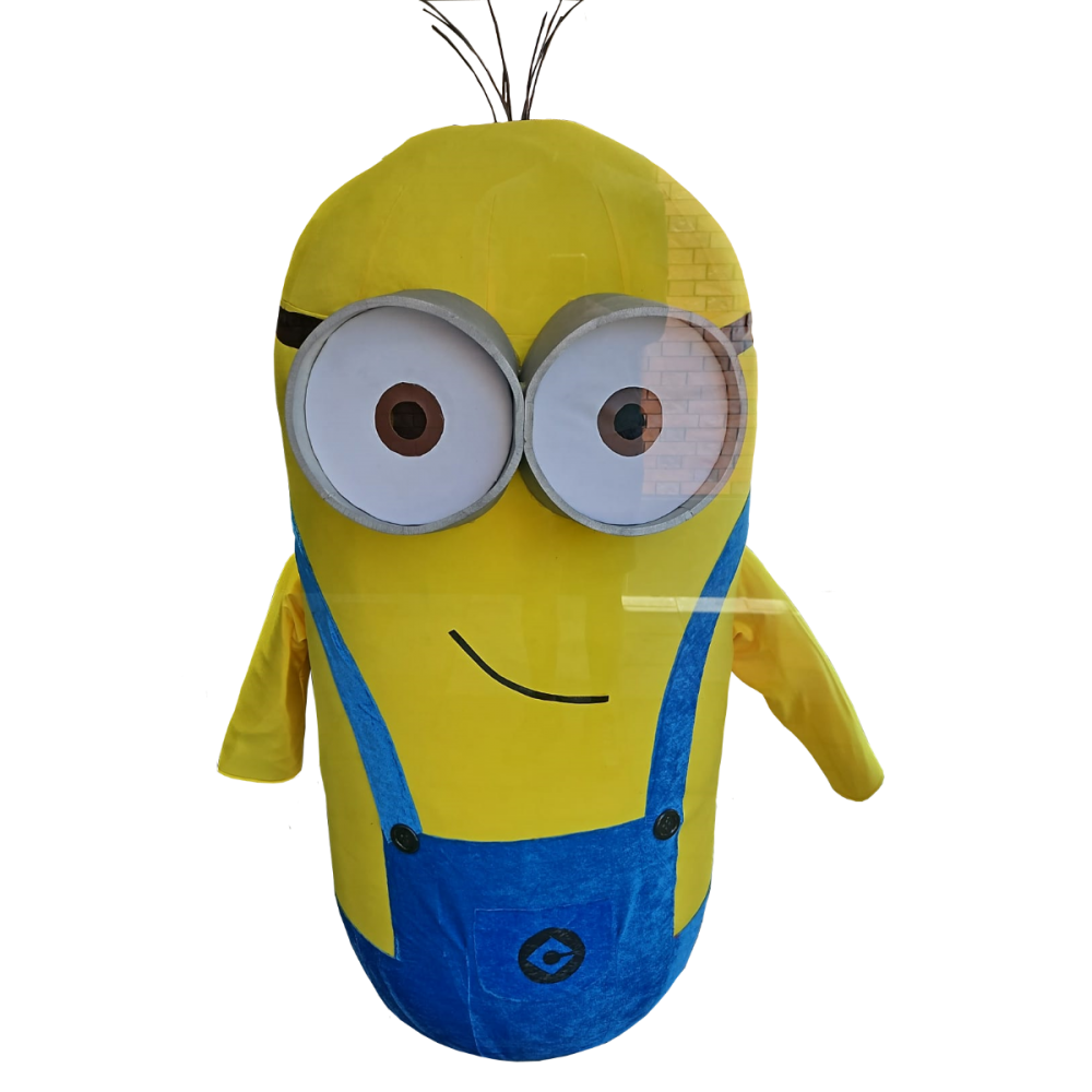 Minion Kostuum College Minion Meisje 4 6 Jaar Goedkope