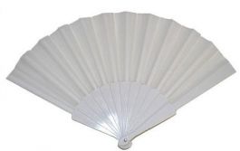 Waaier Wit | De Feestspecialist XXL